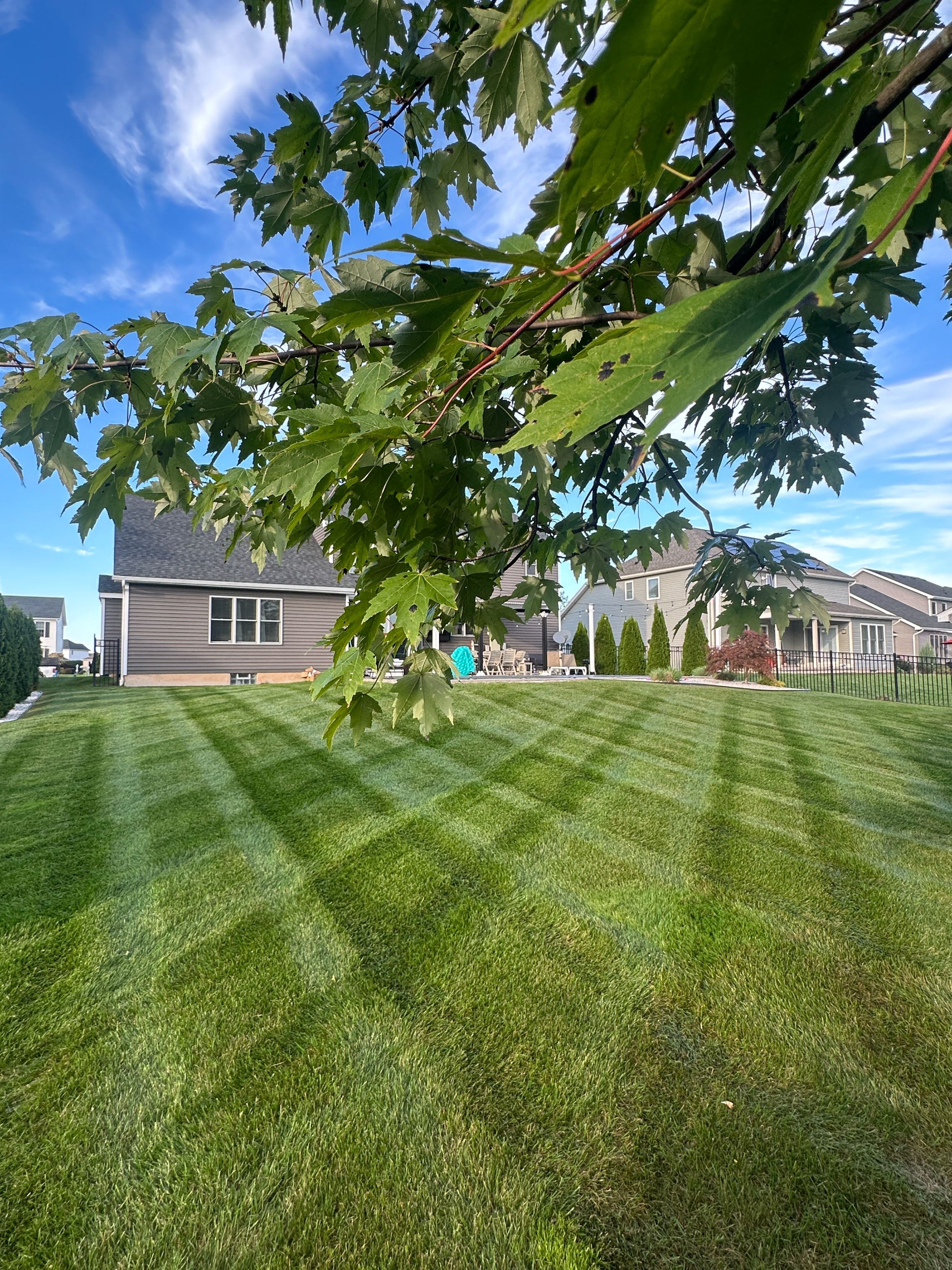 Lavish Landscapes | Lawn Care & Landscaping in Lancaster, NY